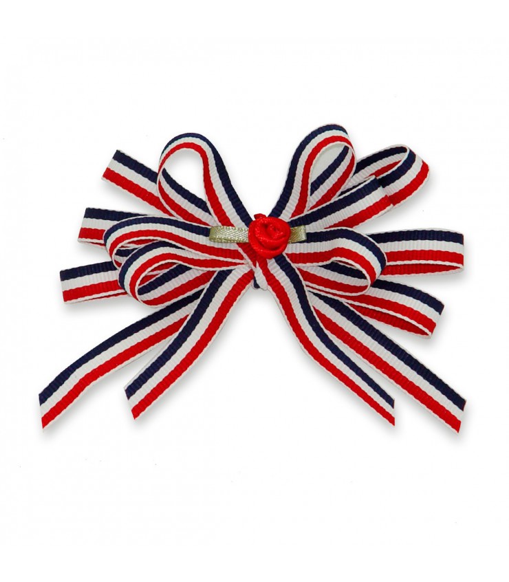 Popotillo Patria U.S.A. Festividades